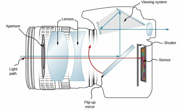What Is DSLR Camera & How Does It Work?