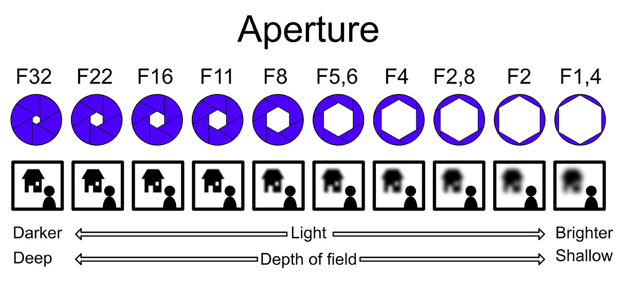What Is Depth Of Field In Photography? Definition & Settings