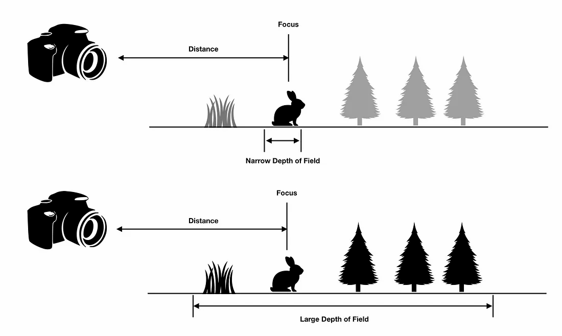 What Is Depth Of Field In Photography? Definition & Settings