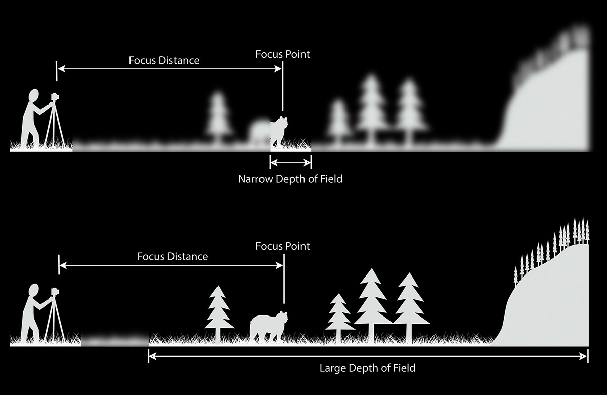 7 Principles Of Design In Photography & Art