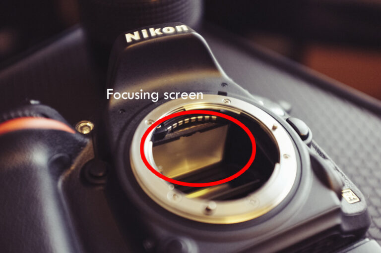 22 Main Parts Of A Camera & How They Work