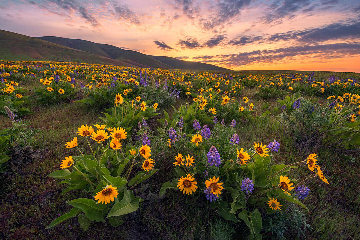 Top 20 Famous Landscape Photographers In 2025