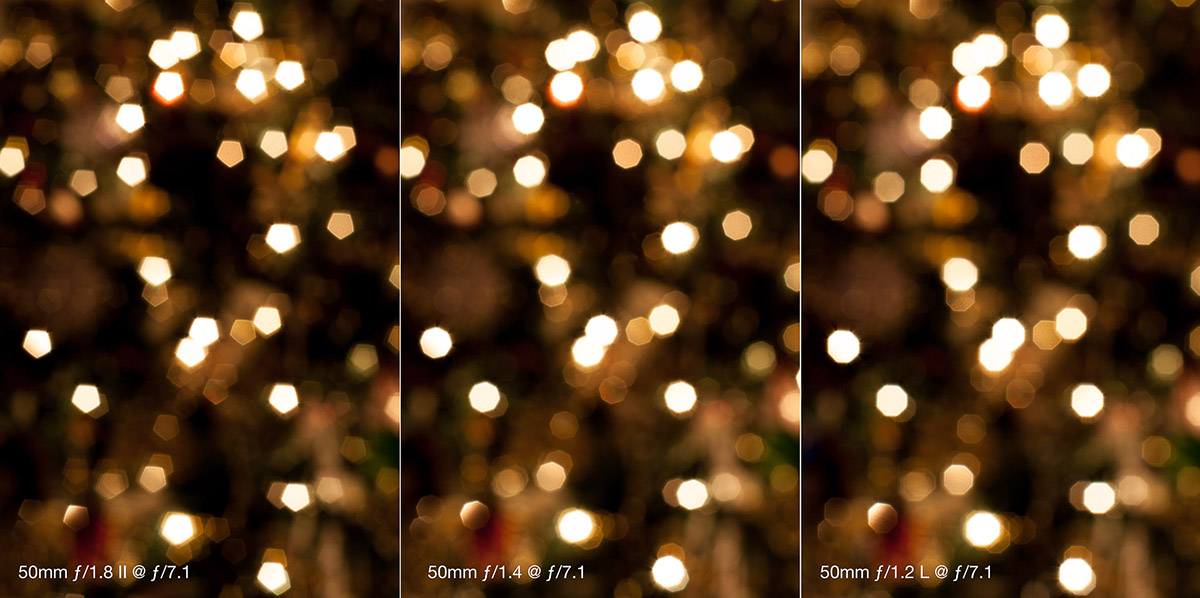 35mm vs 50mm Lens Differences: When To Use Which One?